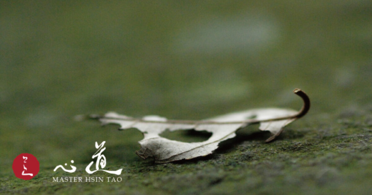 tuei-bian-yu-wu-chang - Master Hsintao-The entire universe is just a ...