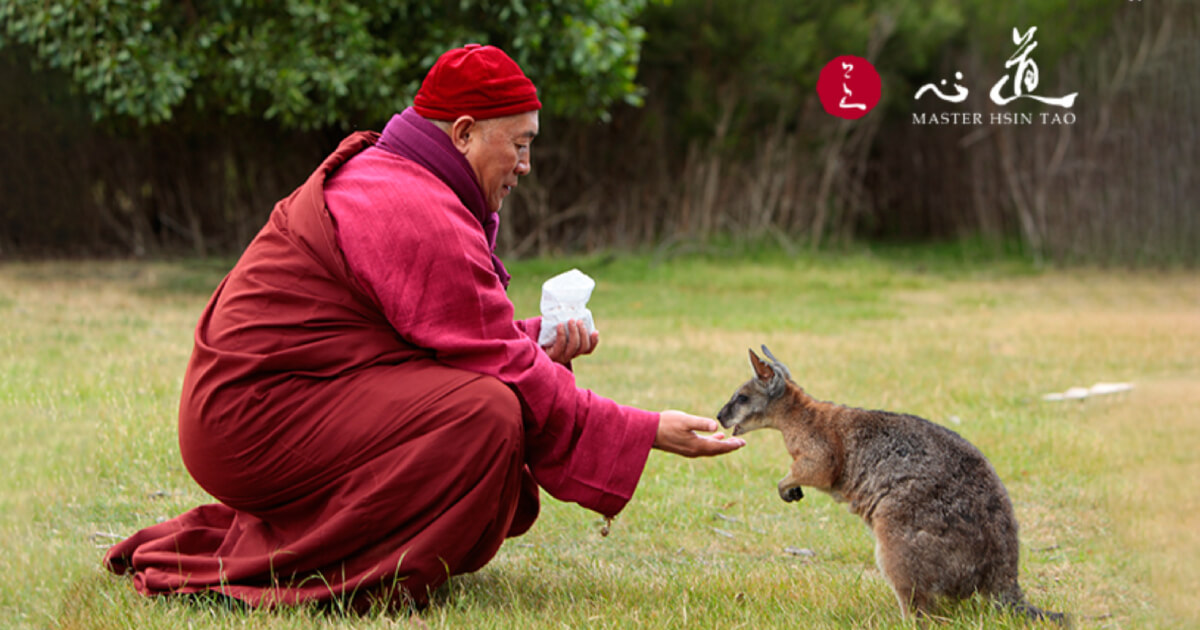 tsih-bei - Master Hsintao-The entire universe is just a manifestation ...